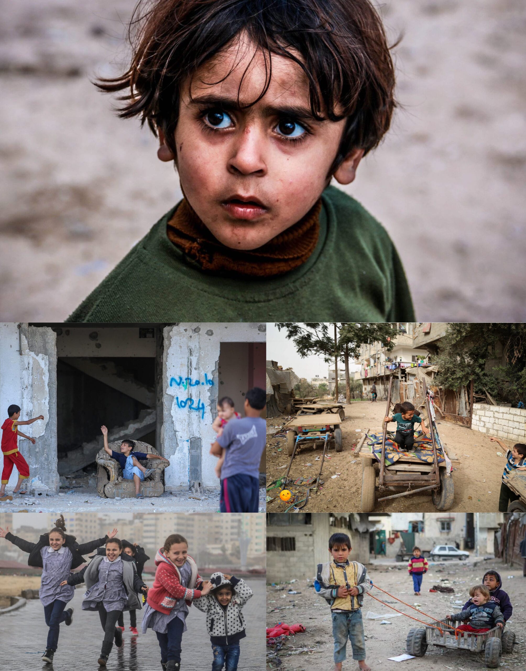 Visit Palestine - A Wellspring in the Desert